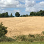 Soiltechnics | Your UK Environmental Consultants