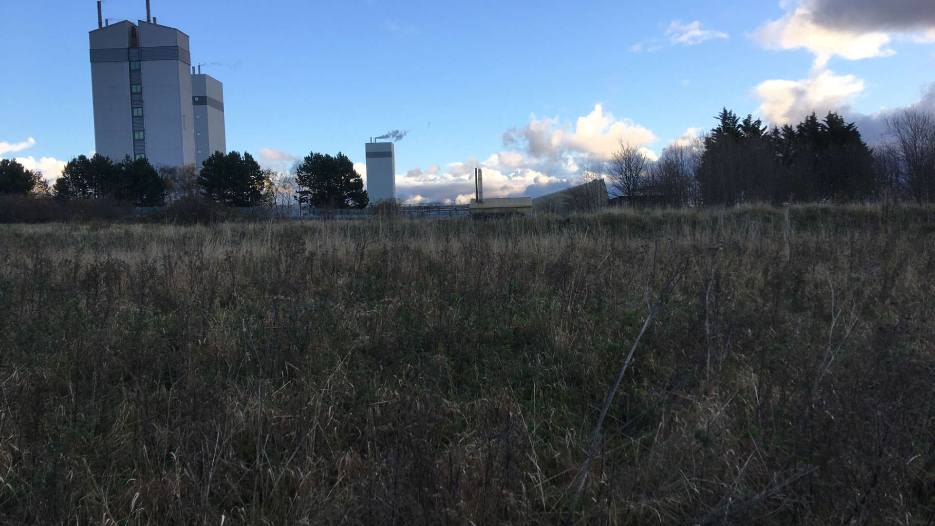 Marlow Foods | View Project | Soiltechnics