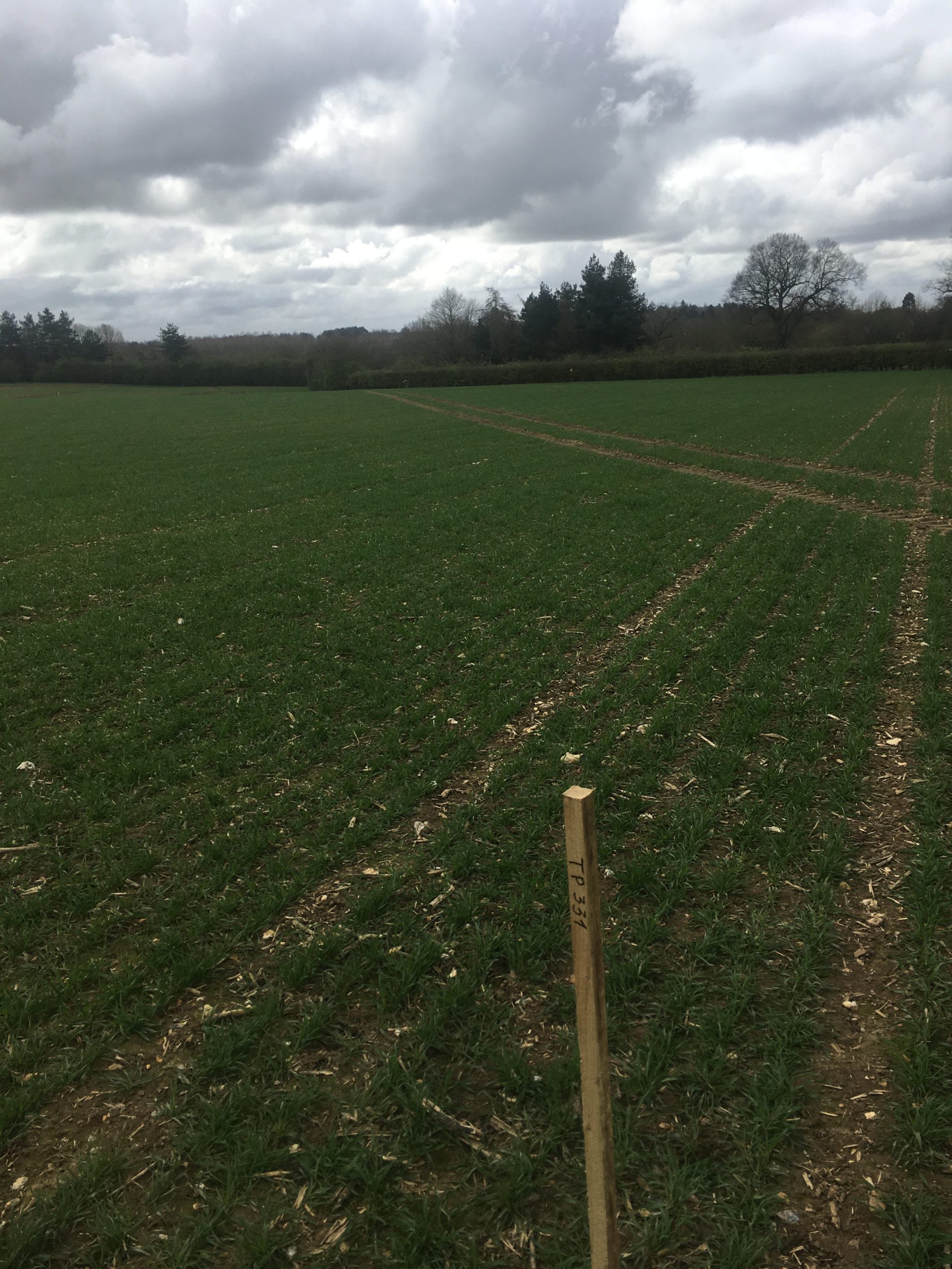 A47 Dualling | View Project | Soiltechnics