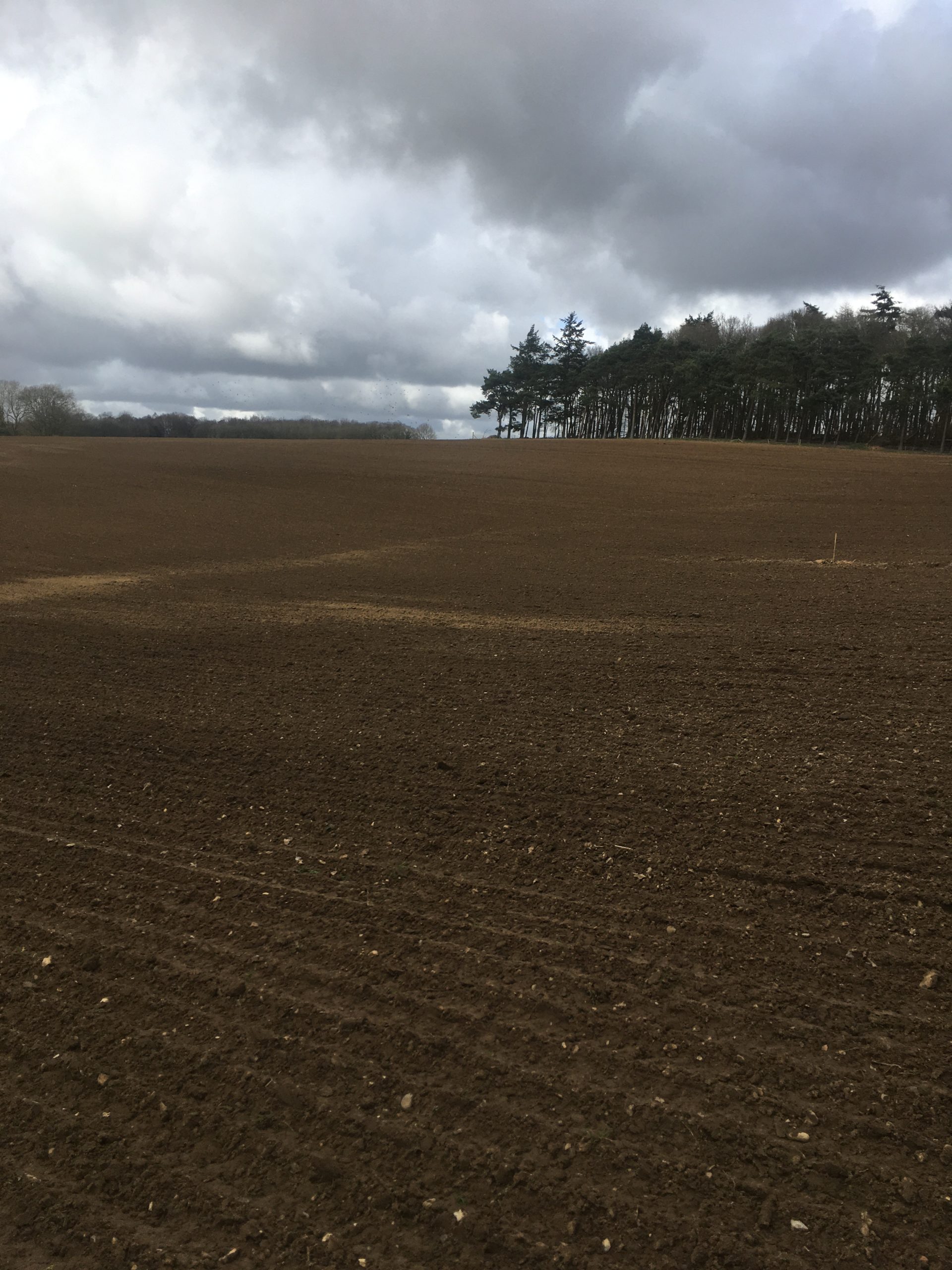 A47 Dualling | View Project | Soiltechnics